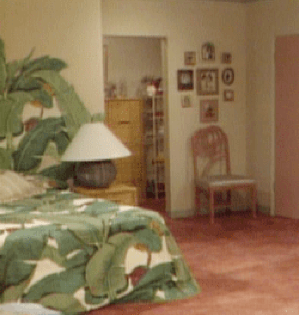 Golden Girls Zoom Backgrounds – The Golden Girls Fashion Corner